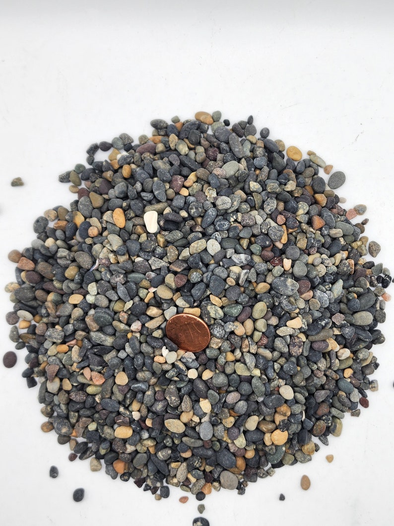 Mexican Beach Pebbles: 1/8" Terrarium, Succulent & Aquarium Substrate ...