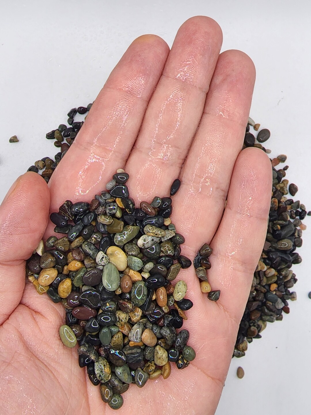 Mexican Beach Pebbles: 1/8" Terrarium, Succulent & Aquarium Substrate ...