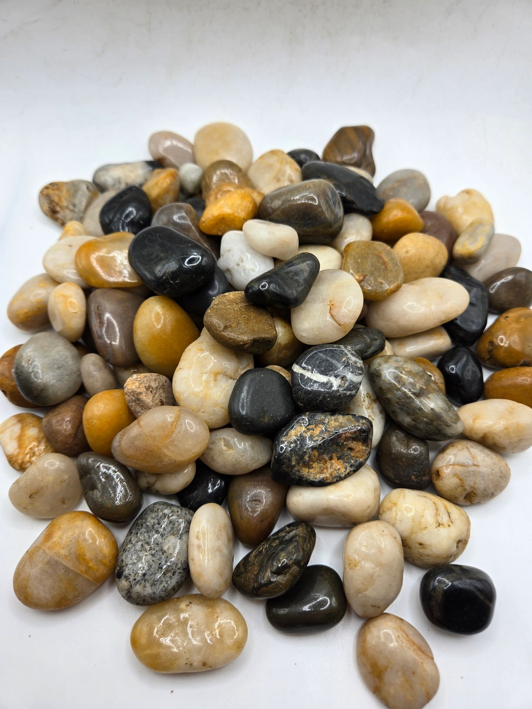 Ultra Polish Mix Color Pebbles Aquarium Substrate, Bonsai, Terrarium ...