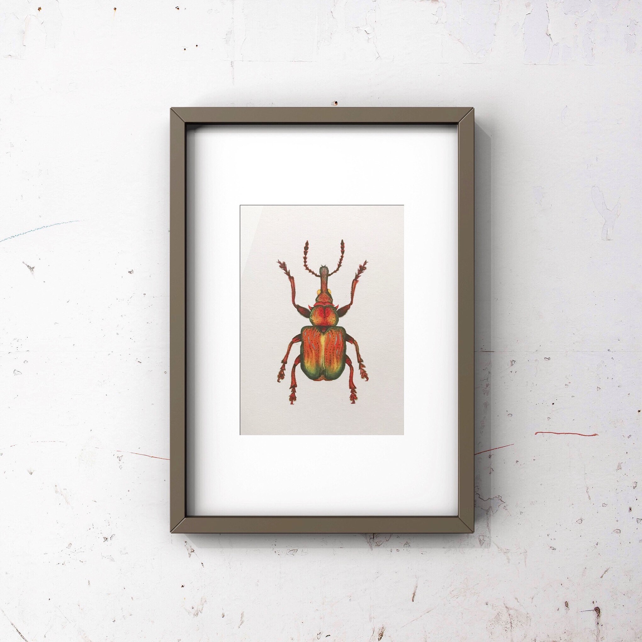 Cherry Weevil Watercolour Print - Etsy