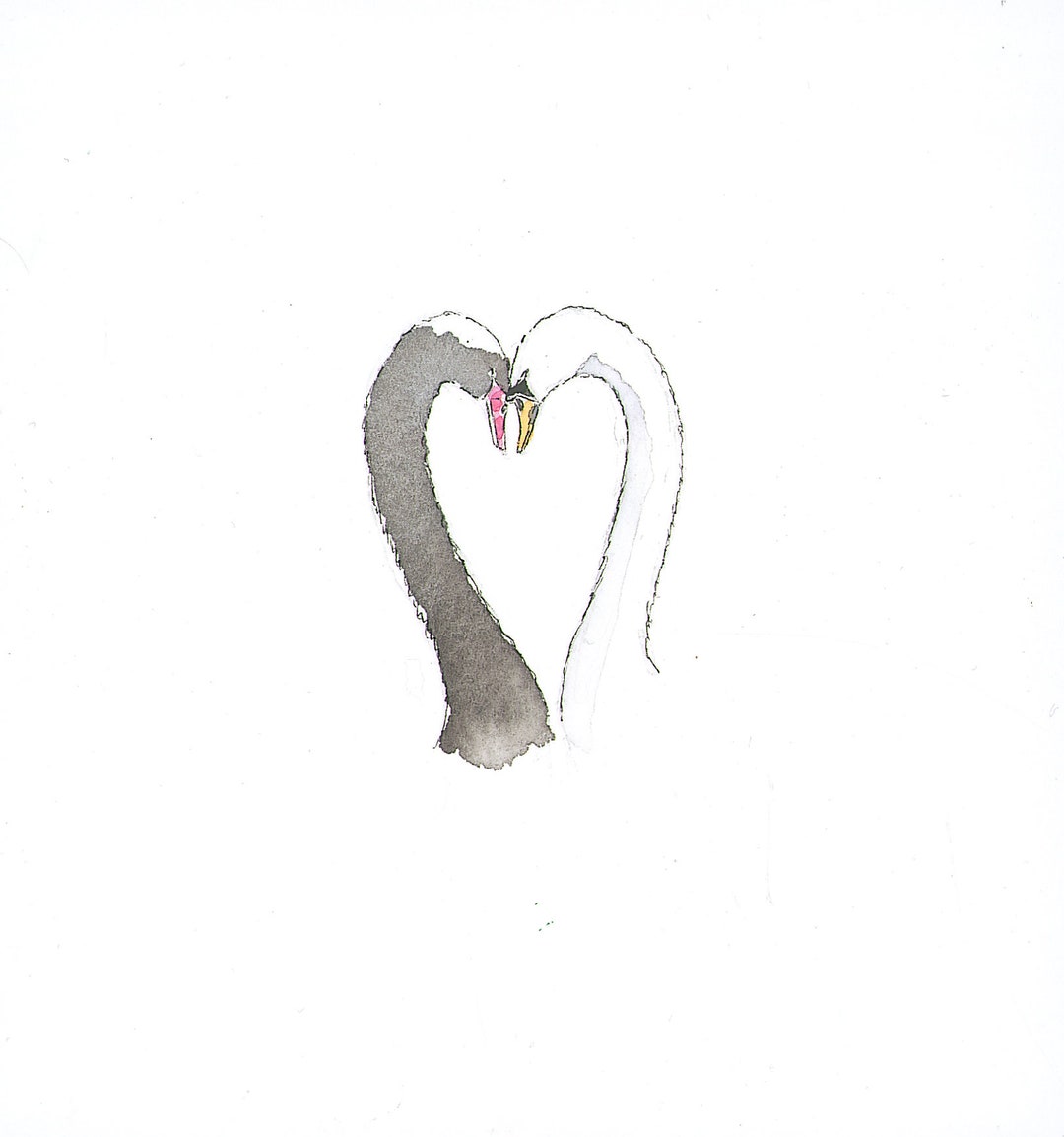 Love Card| Swan Love Heart Shape| Black Swan| White Swan| Valentine ...