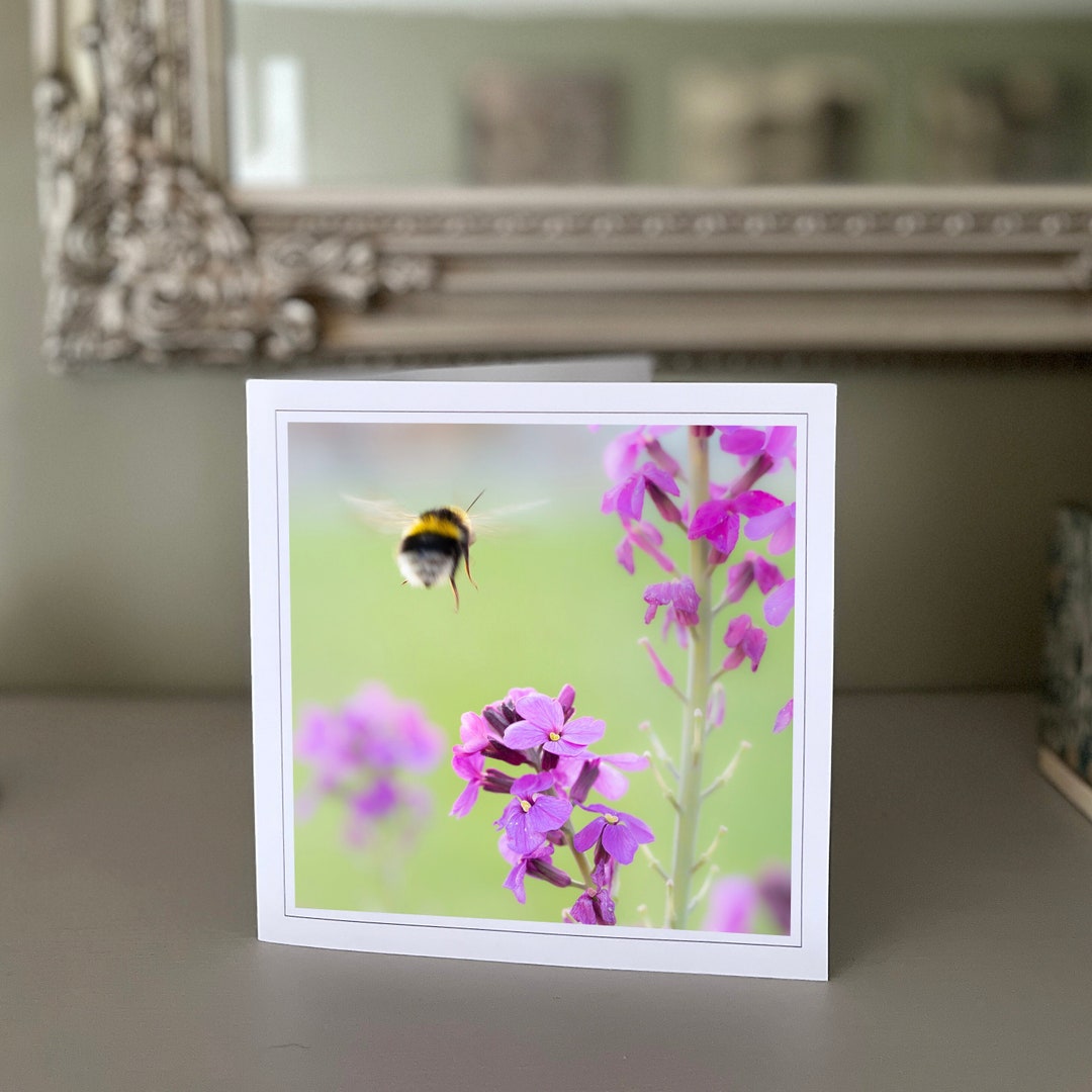 Bee Greetings Card Blank Greetings Card Flower Card Nature Card Fine ...