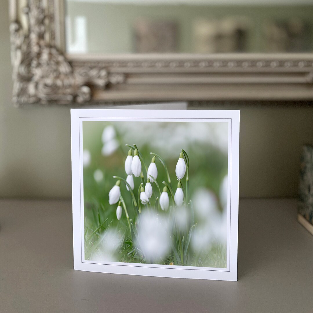 Snowdrops Greetings Card - White Flower Card - Nature Card - Fine Art ...