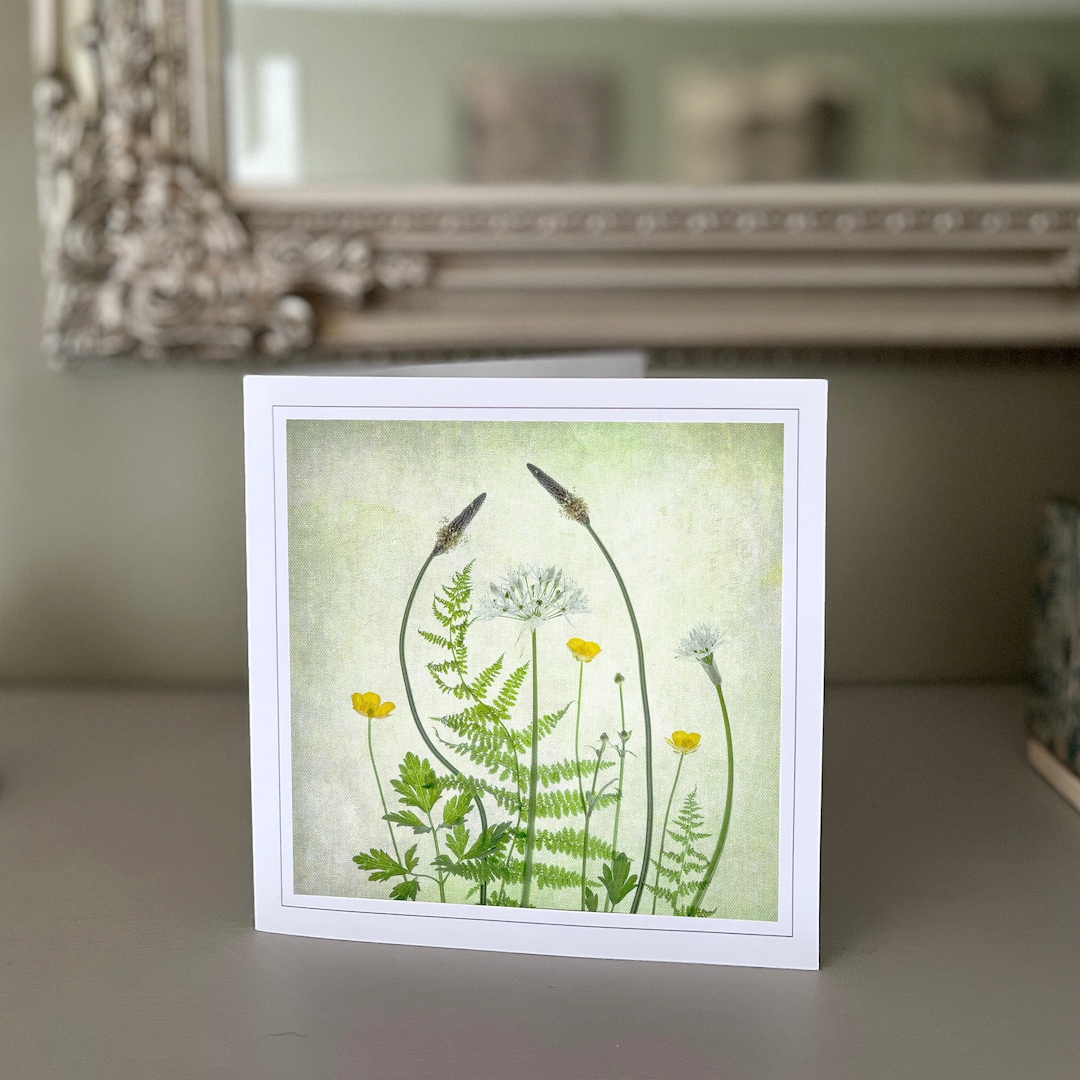 Wildflower Greetings Card - Blank Greetings Card - Flower Card - Nature ...