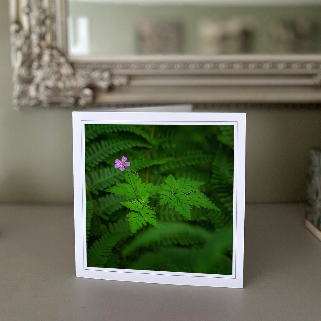 Wild Geranium Greetings Card - Pink Flower Card - Nature Card - Fine ...