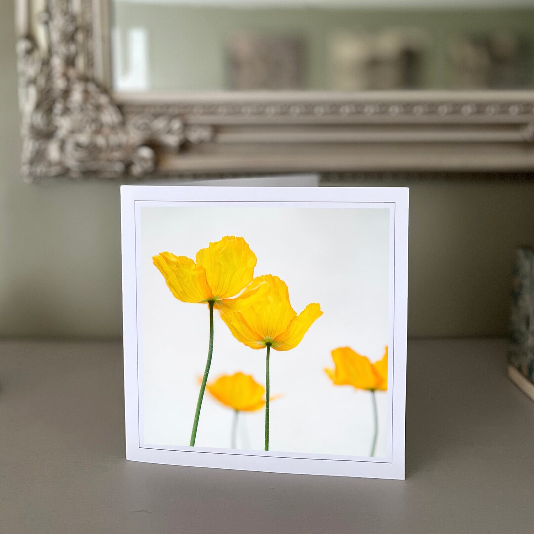 Poppy Greetings Card - Blank Greetings Card - Flower Card - Nature Card ...