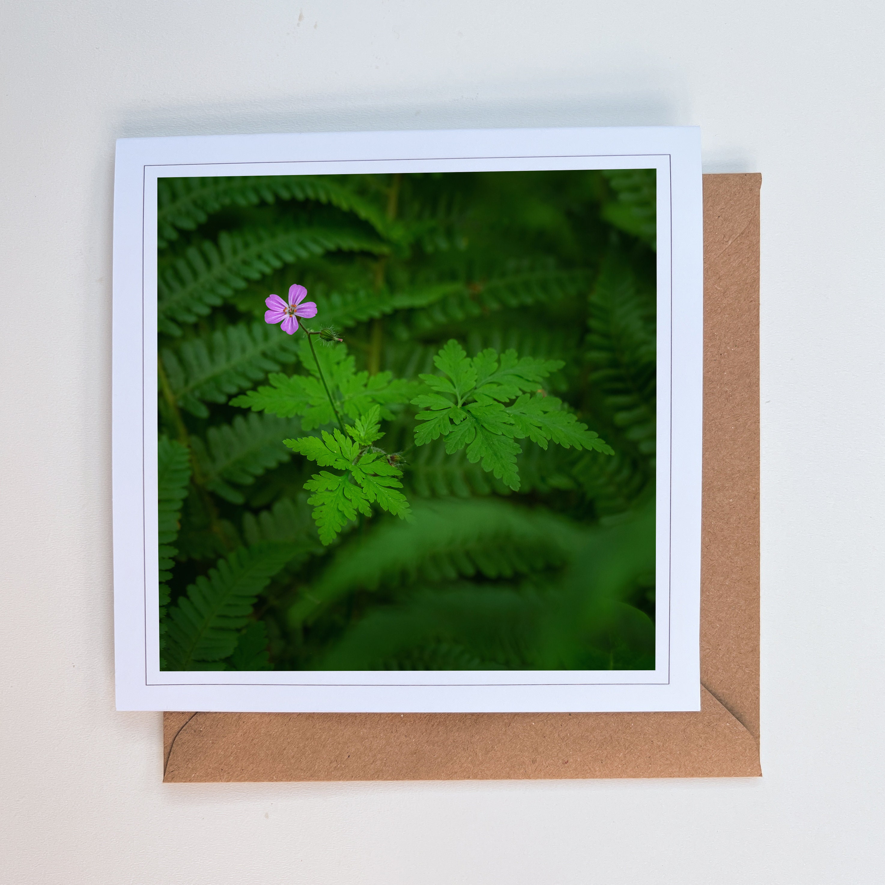 Wild Geranium Greetings Card - Pink Flower Card - Nature Card - Fine ...