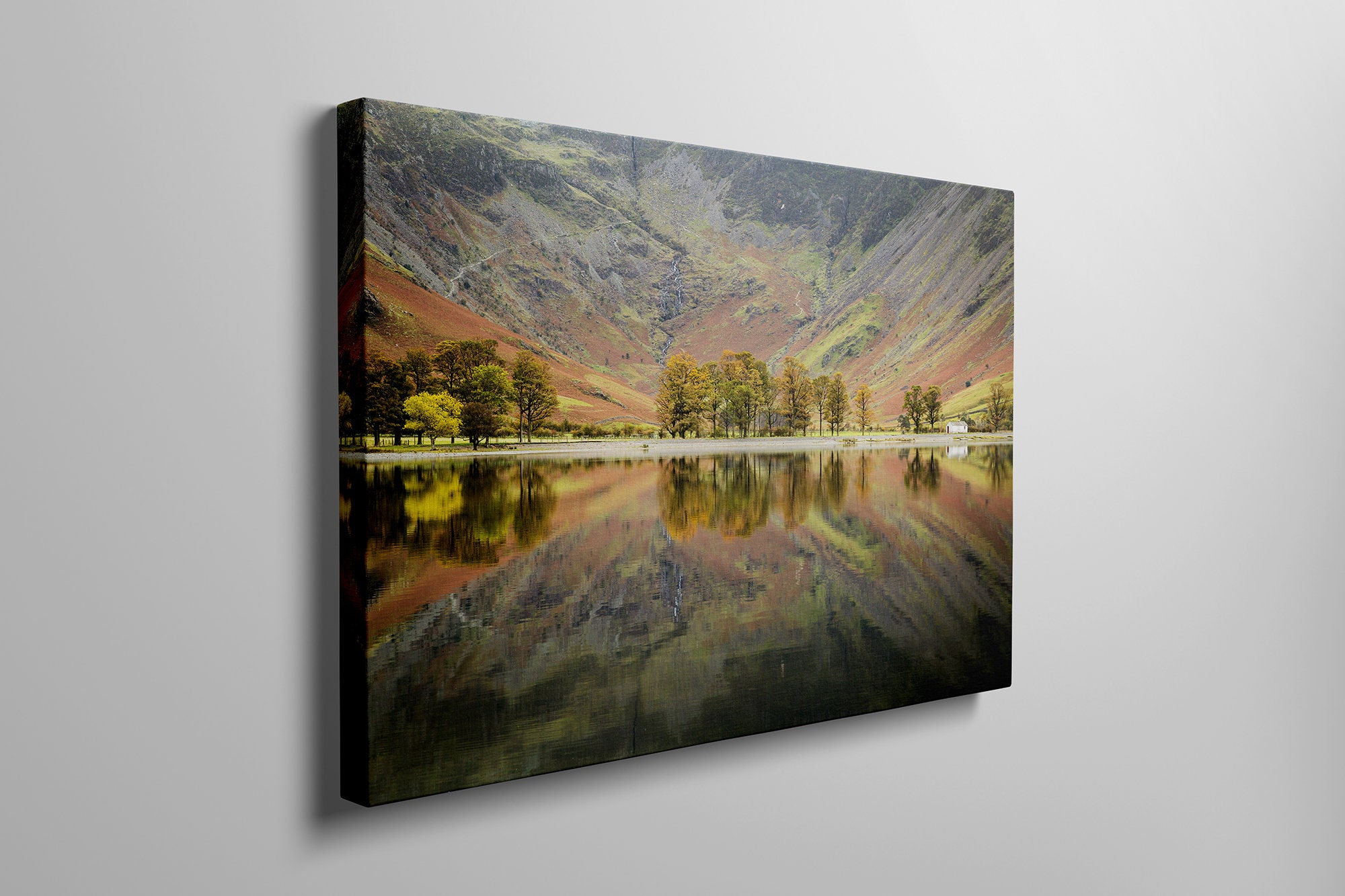 Buttermere and Buttermere Pines in the Lake District Landscape Canvas ...