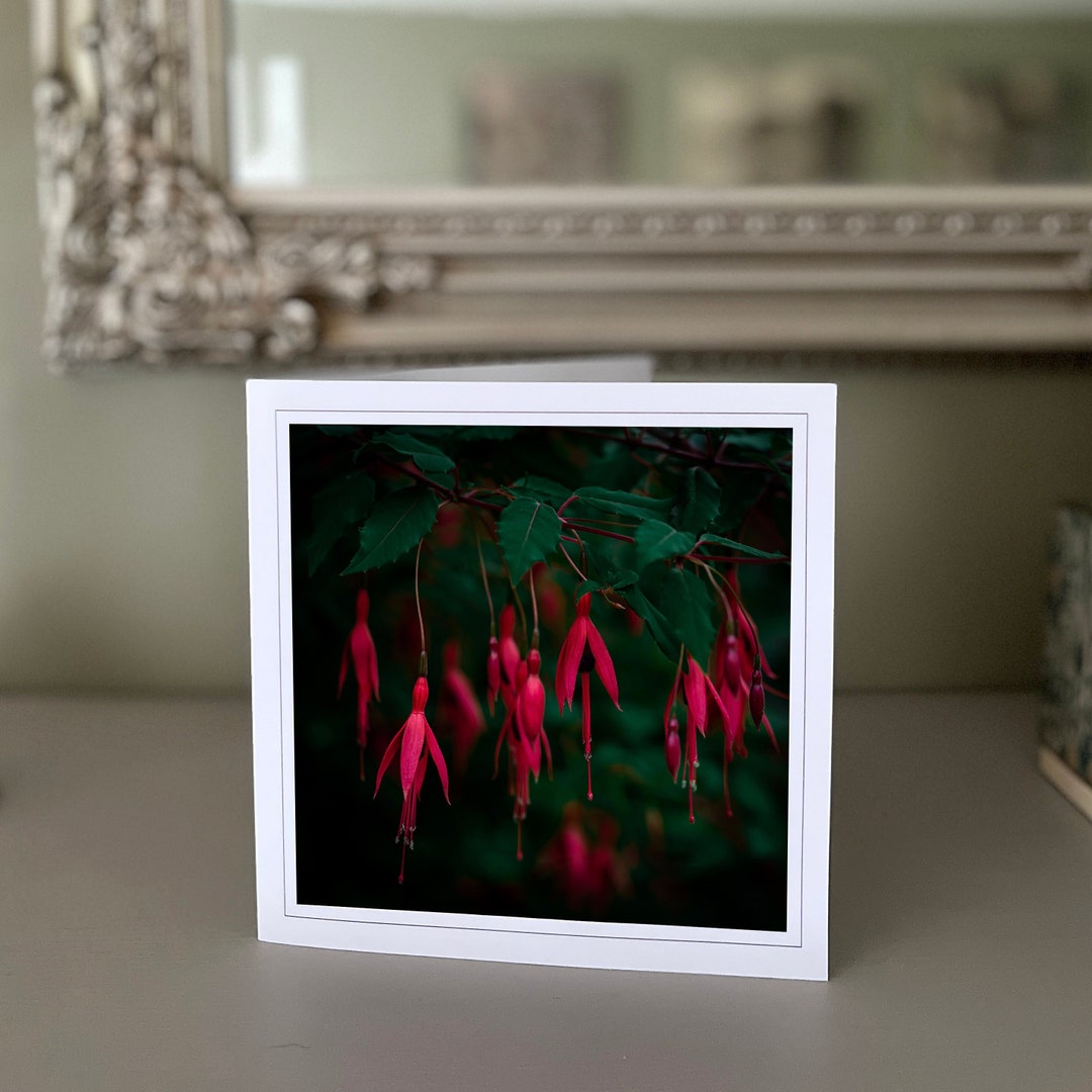 Fuchsia Greetings Card - Red Flower Card - Nature Card - Fine Art ...