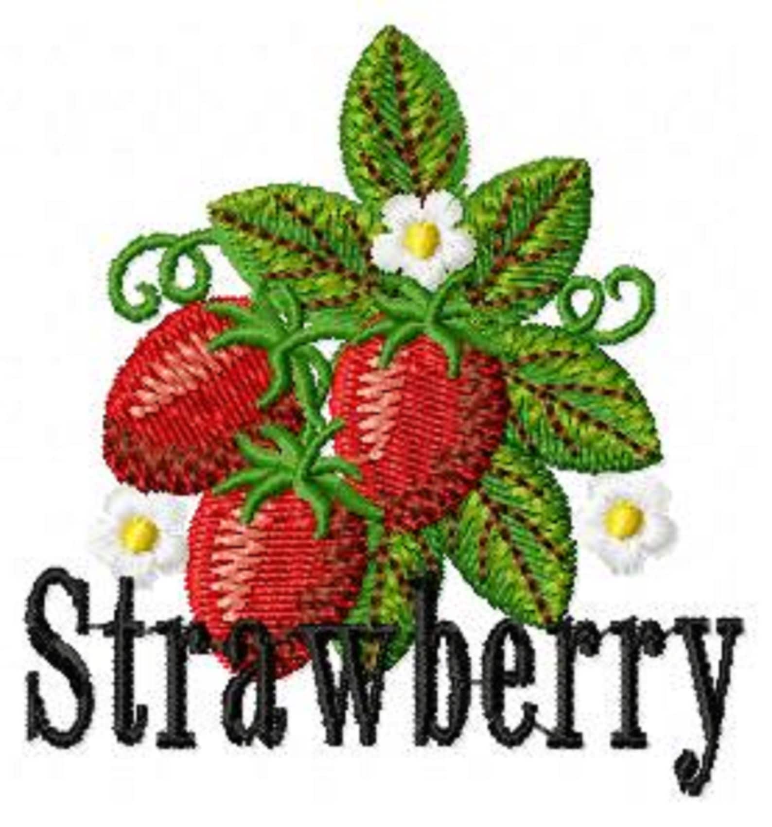 Strawberry Designs Machine Embroidery Pattern Instant - Etsy