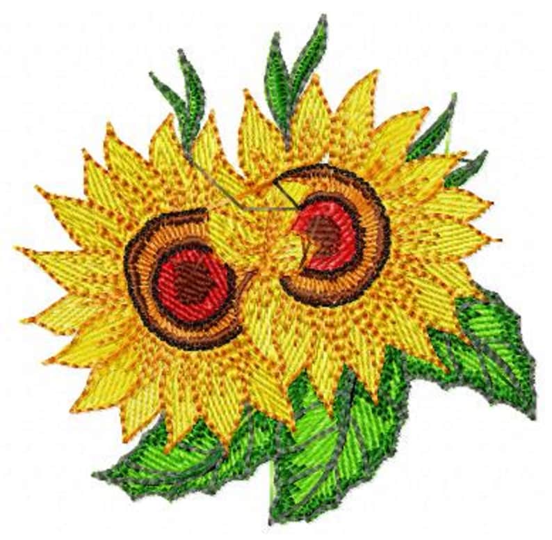 Sunflowers Designs Machine Embroidery Pattern - Instant Download. - Etsy