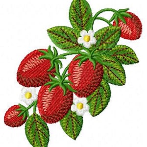 Strawberry Designs Machine Embroidery Pattern - Instant Download. - Etsy