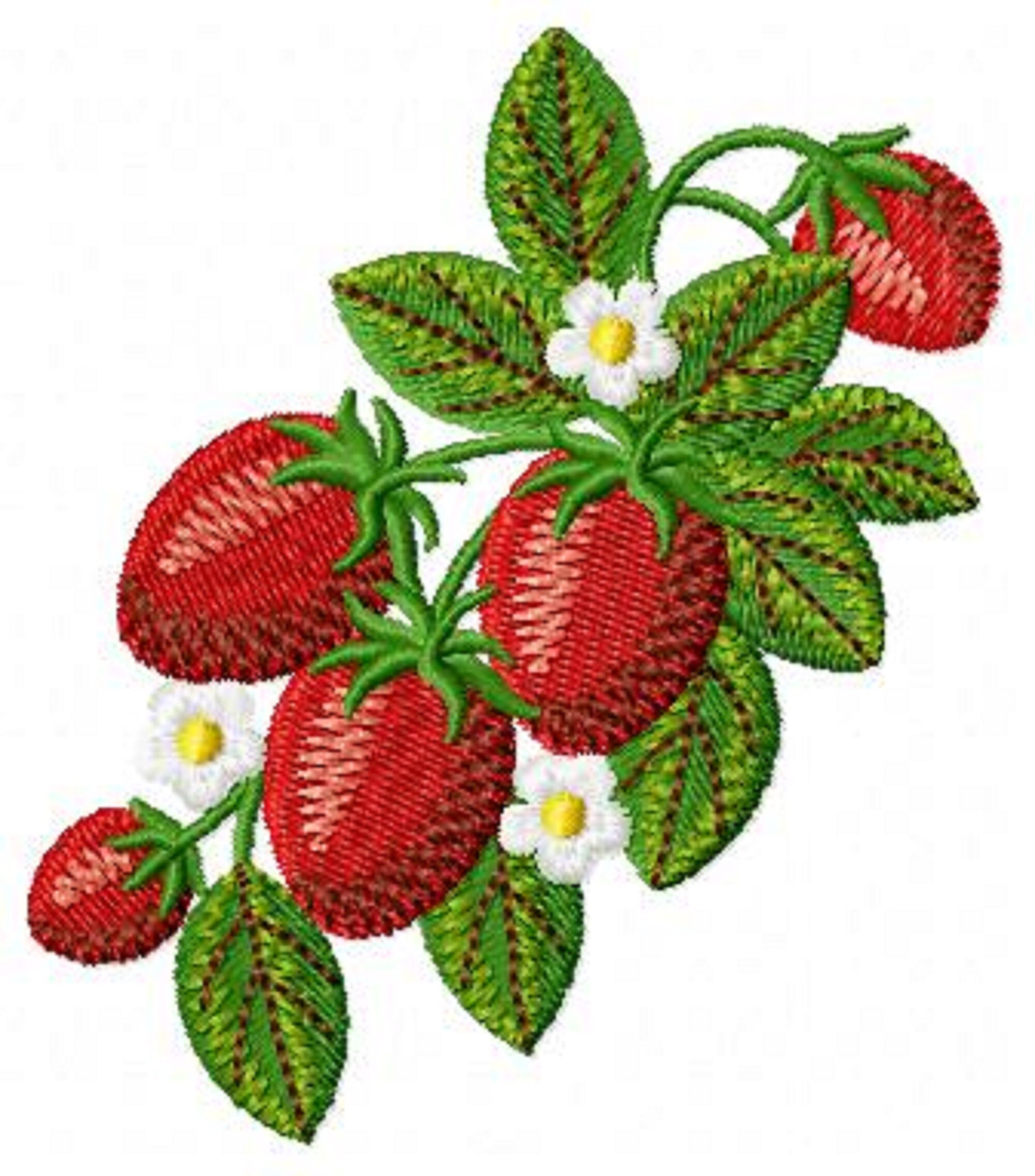 Strawberry Designs Machine Embroidery Pattern Instant - Etsy Australia