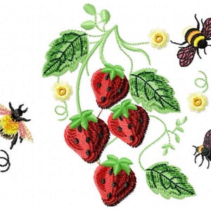 Fruits Embroidery Designs Machine Embroidery Pattern - Instant Download ...