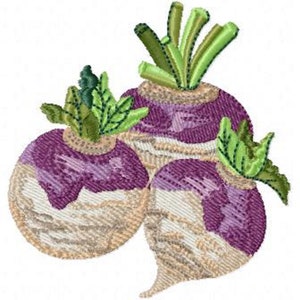 Vegetable Designs Machine Embroidery Pattern - Instant Download. - Etsy