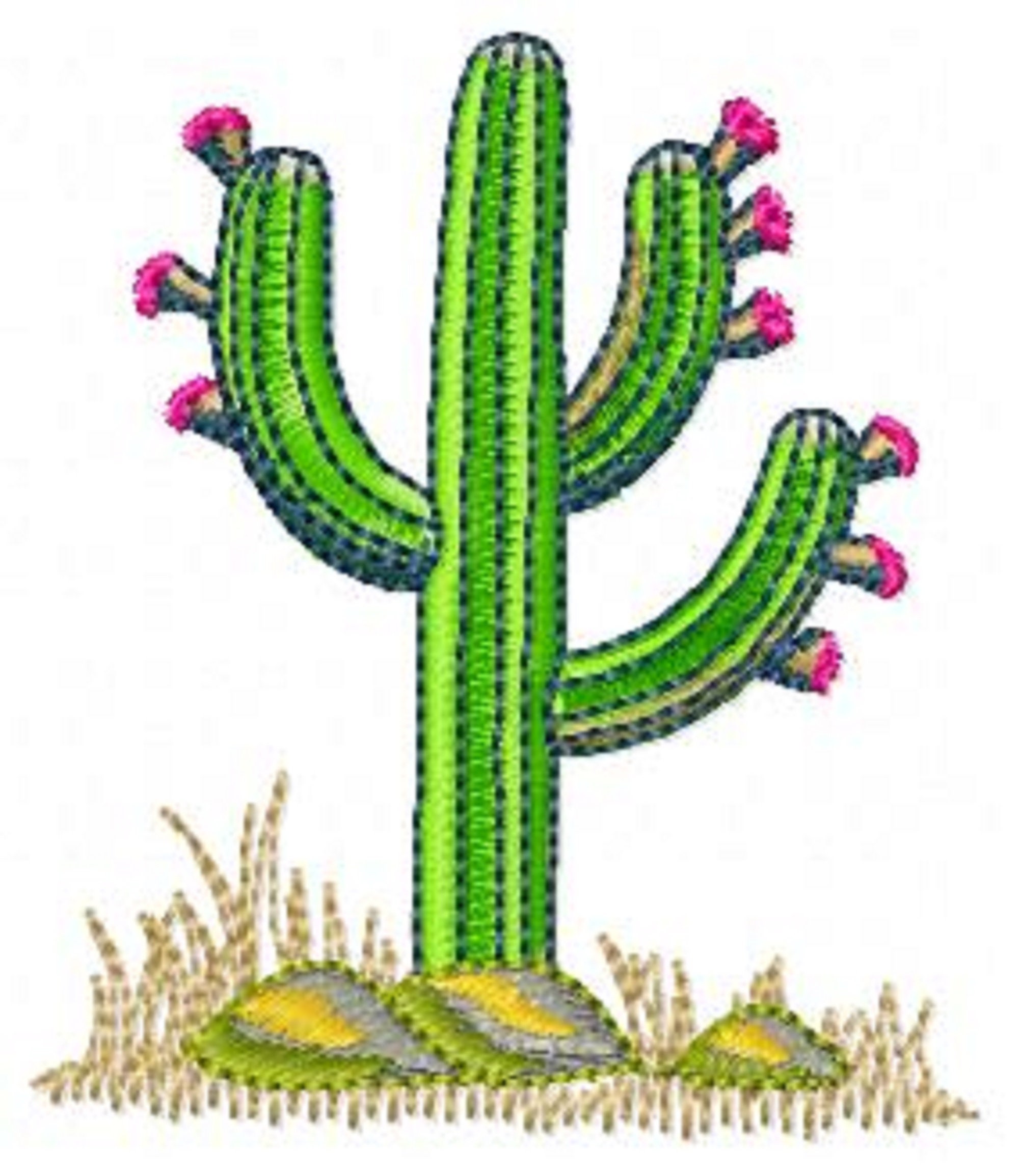 Cactus Embroidery Designs Machine Embroidery Pattern - Instant Download ...
