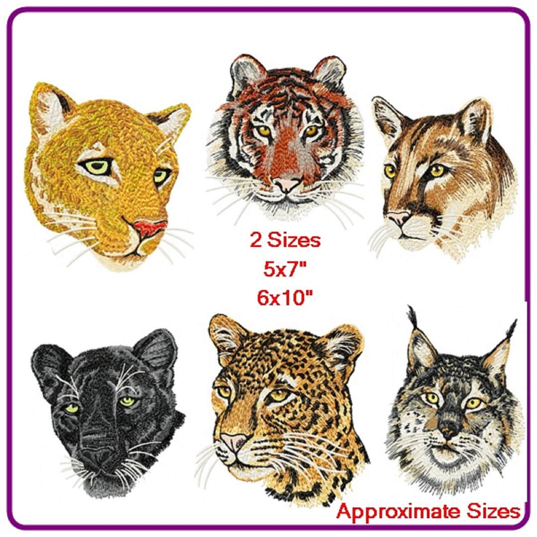 Cats Animals Embroidery Designs Machine Embroidery Pattern - Instant ...