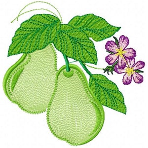 Fruits Embroidery Designs Machine Embroidery Pattern - Instant Download ...