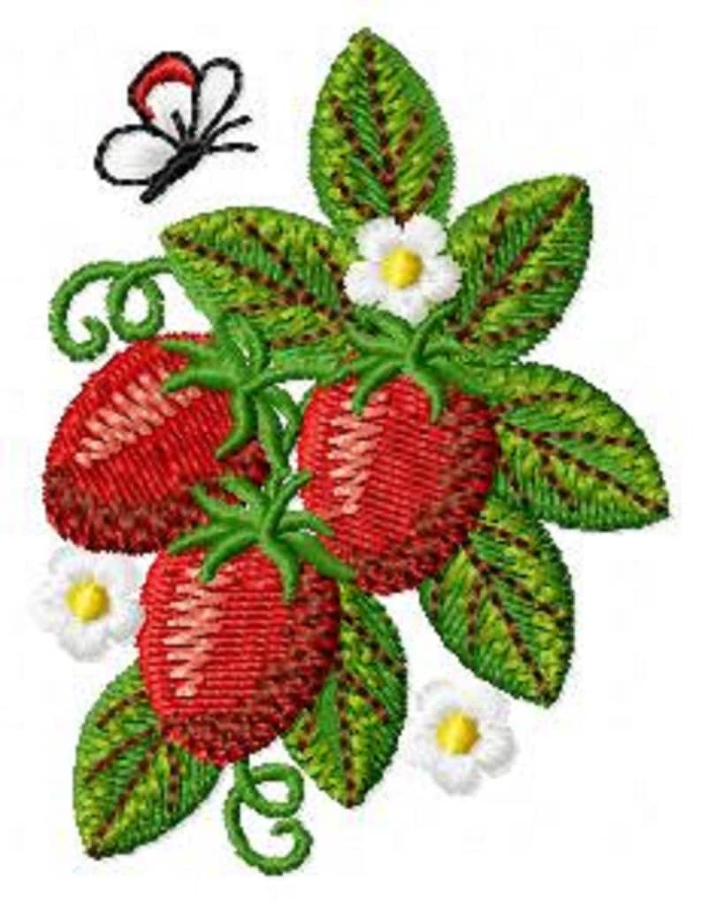 Strawberry Designs Machine Embroidery Pattern Instant - Etsy