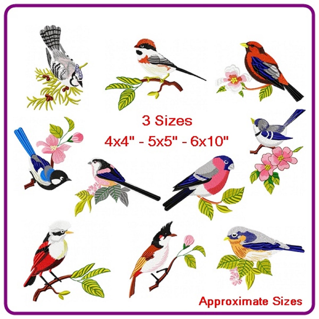 Bird Embroidery Designs Machine Embroidery Pattern - Instant Download ...