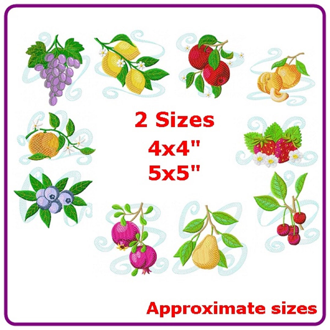 Fruits Designs Machine Embroidery Pattern - Instant Download. - Etsy