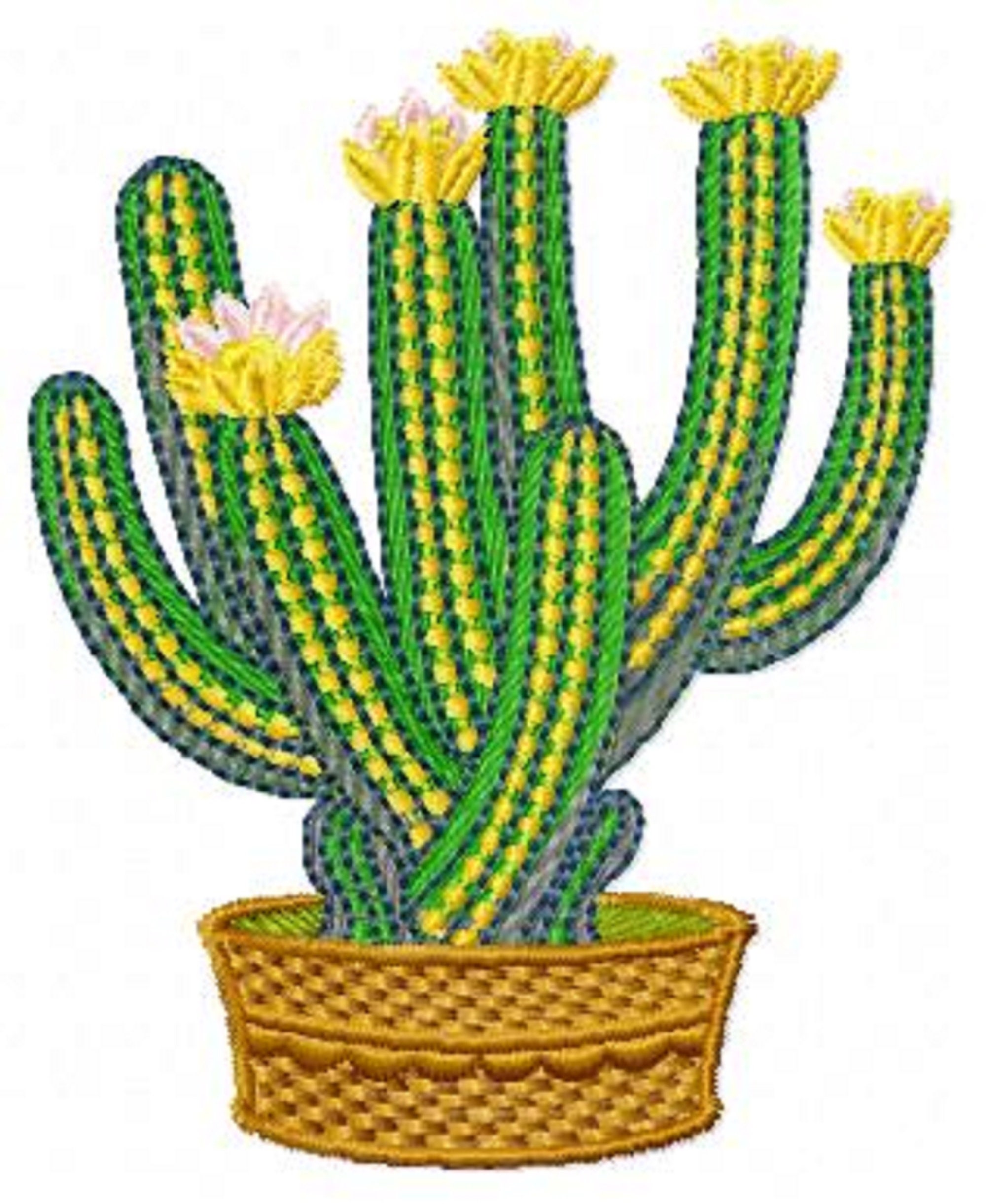 Cactus Embroidery Designs Machine Embroidery Pattern - Instant Download ...