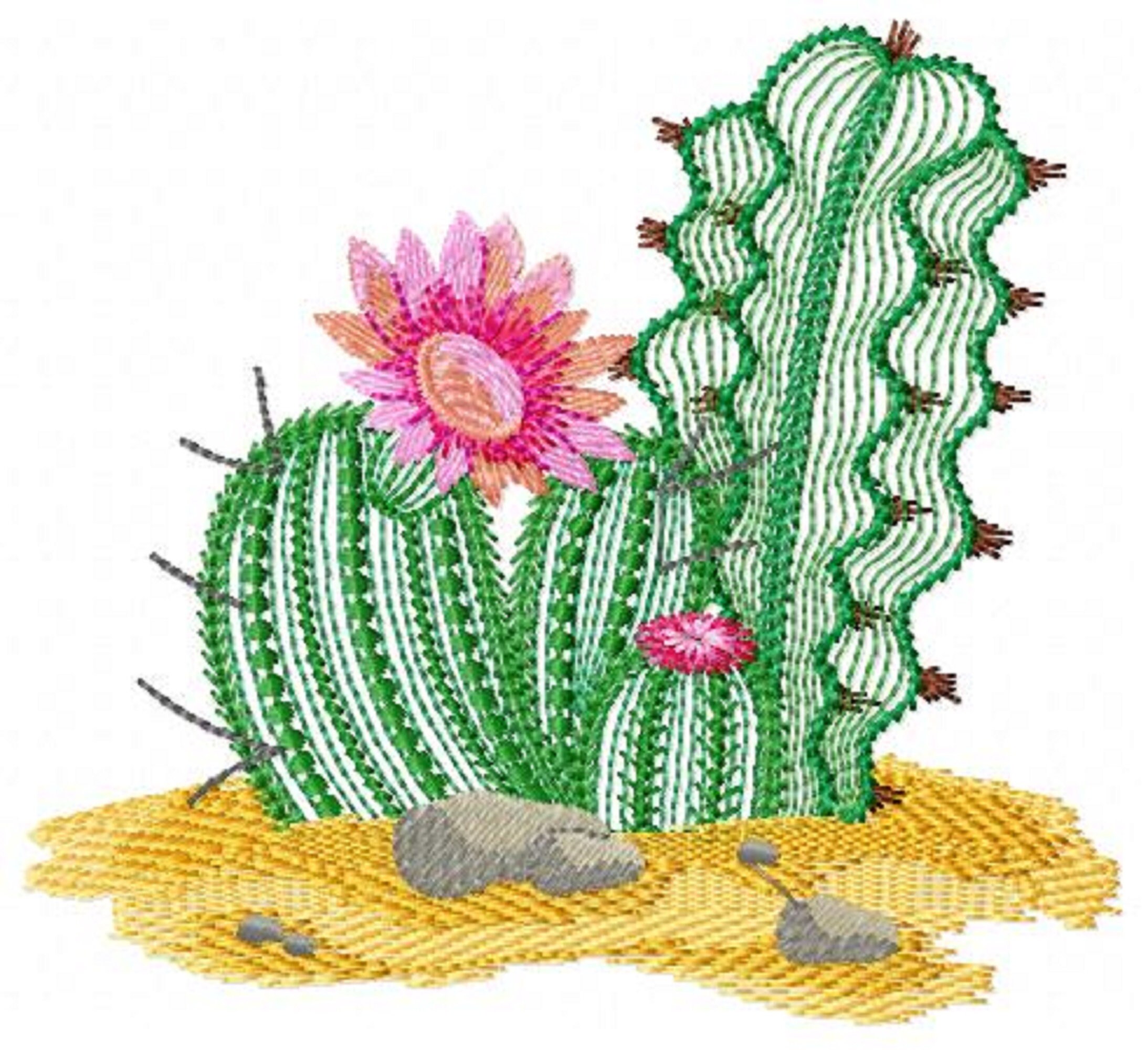 Cactus embroidery designs machine embroidery pattern instant | Etsy
