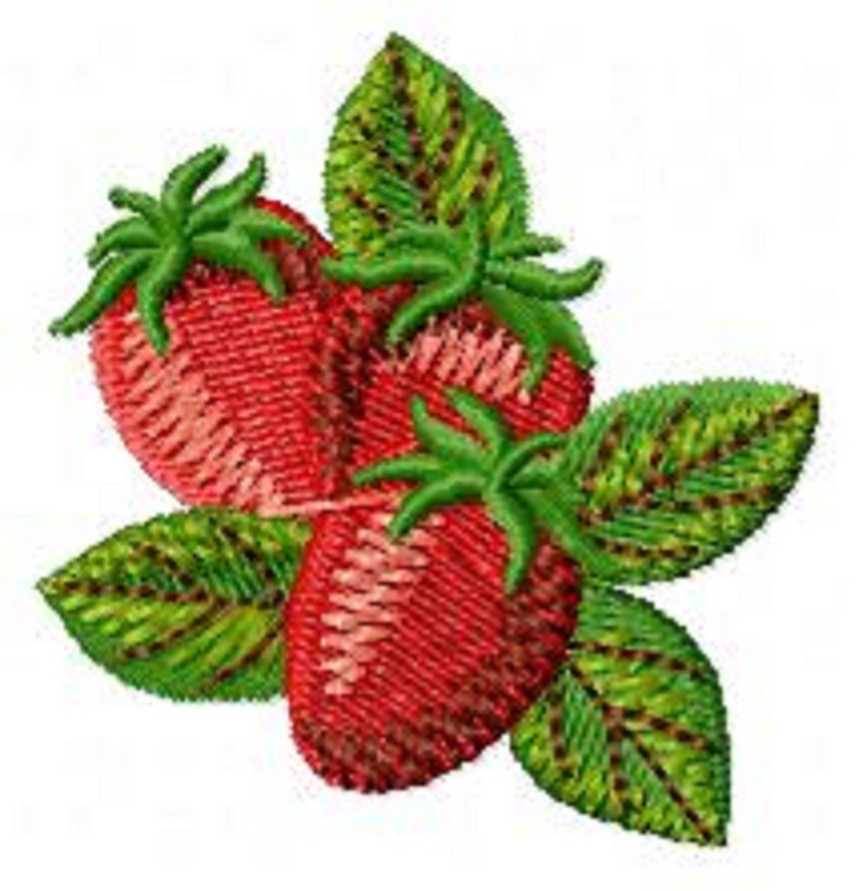 Strawberry Designs Machine Embroidery Pattern Instant - Etsy
