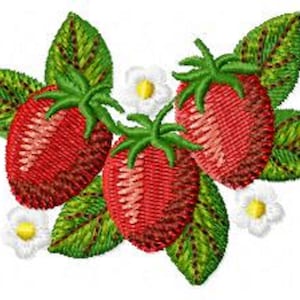 Strawberry Designs Machine Embroidery Pattern - Instant Download. - Etsy