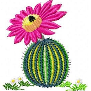 Cactus Embroidery Designs Machine Embroidery Pattern - Instant Download ...