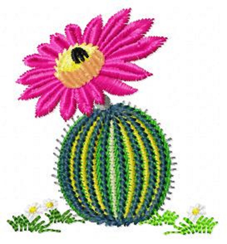 Cactus Embroidery Designs Machine Embroidery Pattern - Instant Download ...