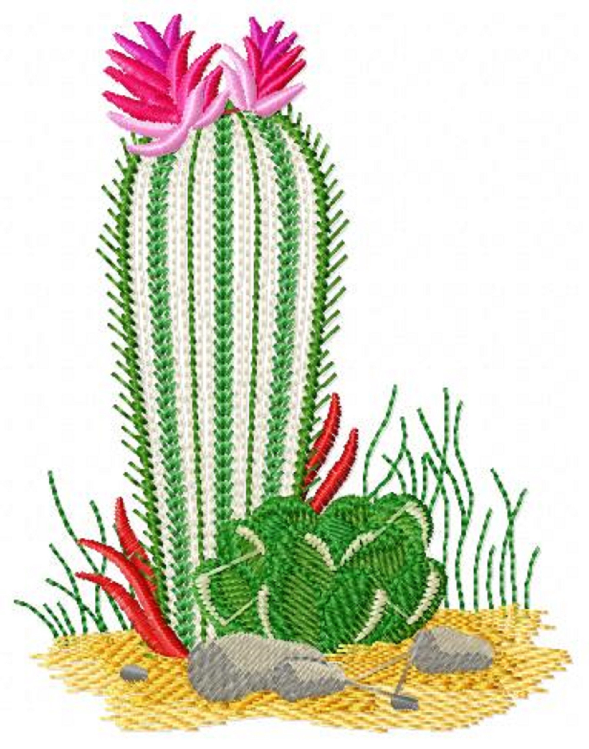Cactus embroidery designs machine embroidery pattern instant | Etsy