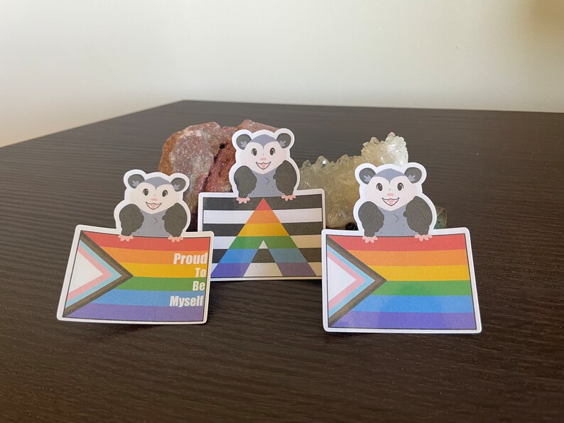 Opossum Pride Stickers Lgbtq Flags Pride Month Journaling Scrapbooking Penpal Letters Etsy