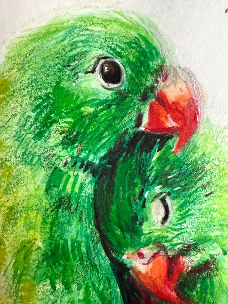 Cute Little Parrot Couple Watercolour Original Artwork, Not a Print ...