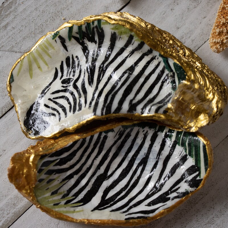 Zebra Shells - Etsy