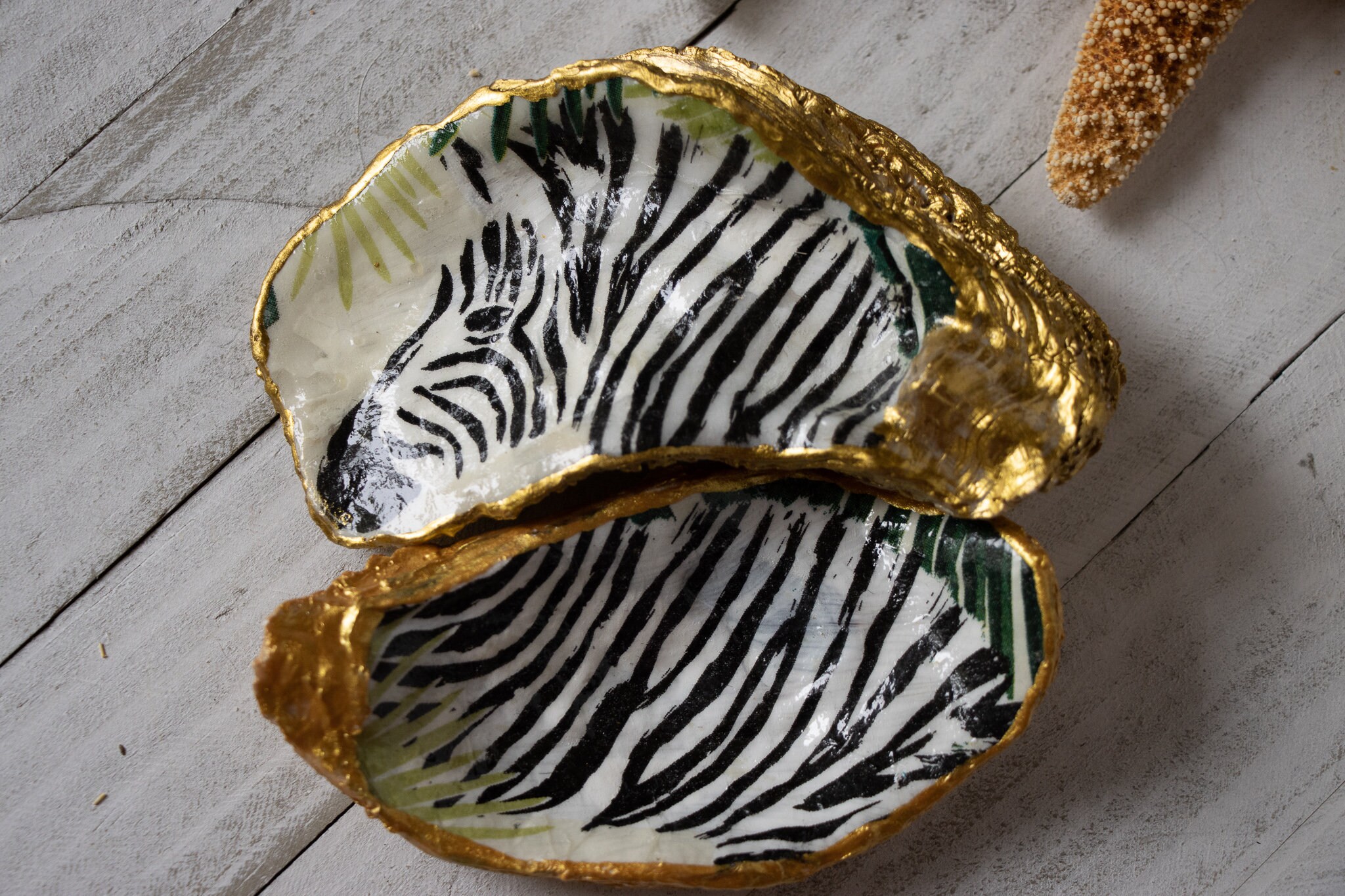 Zebra Oyster Shells Jungle Love - Etsy