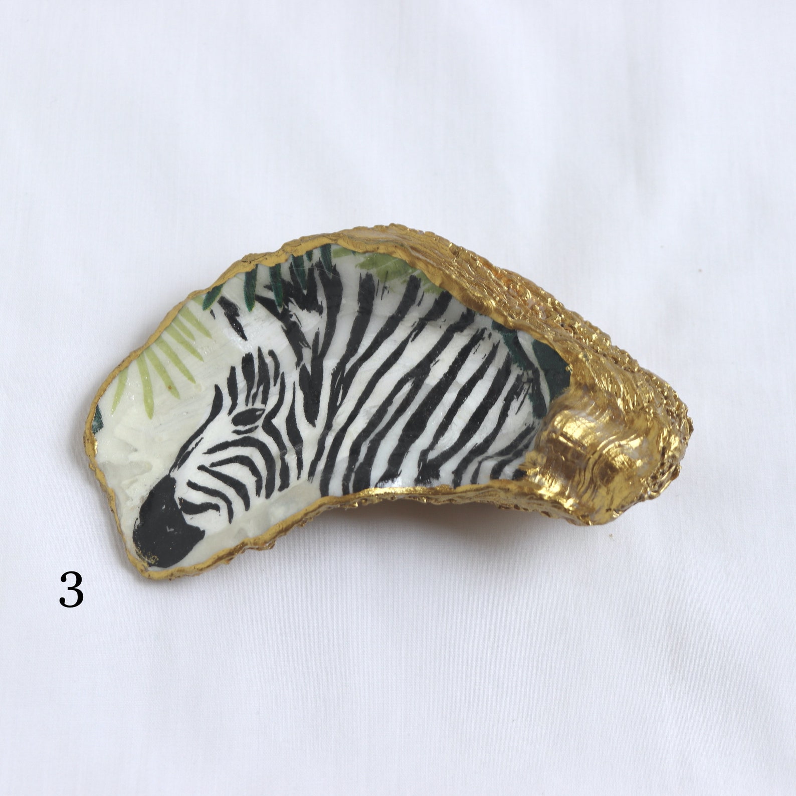 Zebra Oyster Shells Jungle Love | Etsy