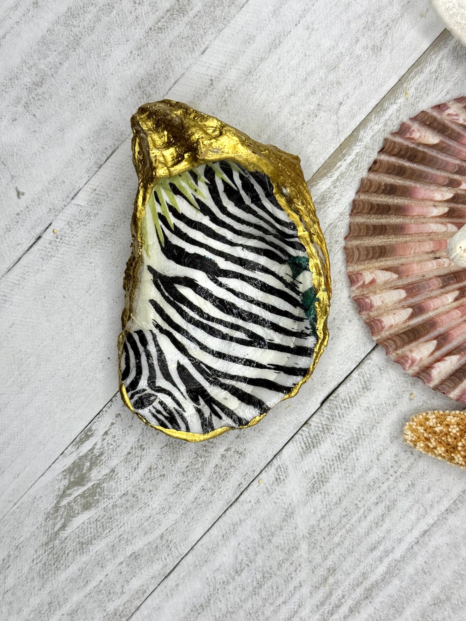 Zebra Oyster Shells Jungle Love - Etsy
