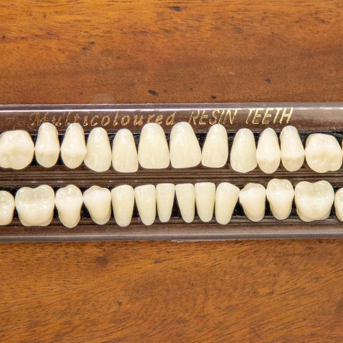 Resin Human Teeth for Dentures Crafts Fake Set of Teeth - Etsy UK