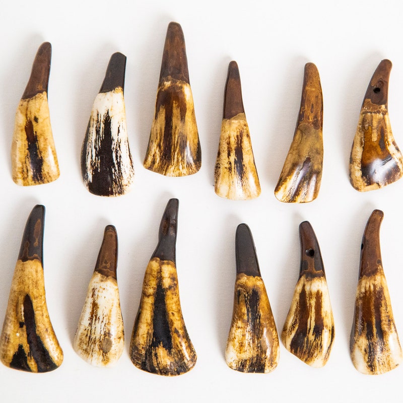 Elk Teeth - Etsy