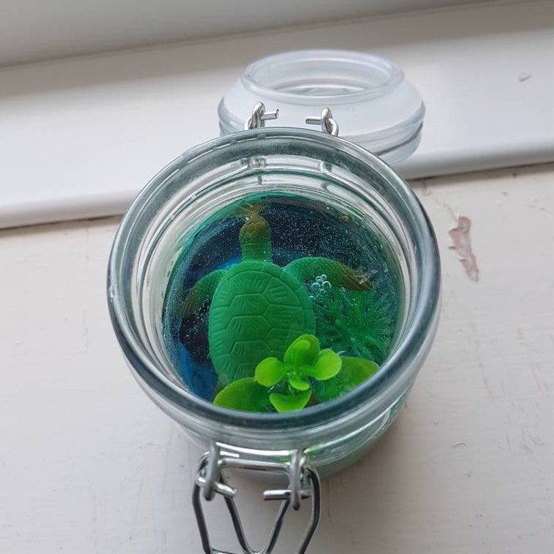 Container for Resin Animals - Etsy UK