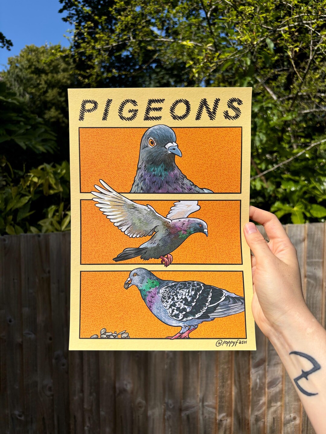 Pigeons Comic Panel Print (A4 or A3) - Etsy UK