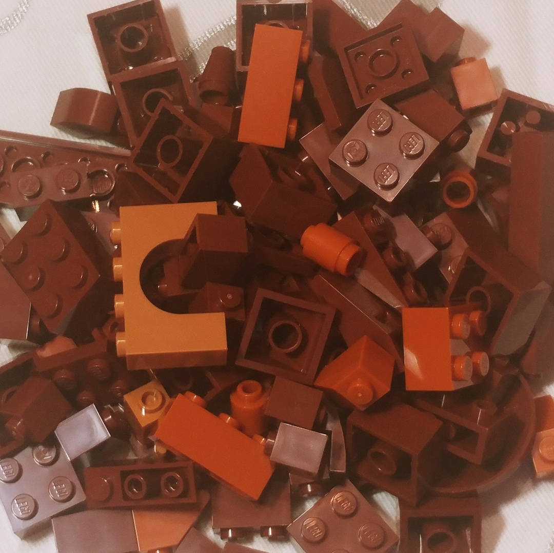 Mixed Browns LEGO® Bulk Lot 100 Parts, With One (1) FREE *random ...