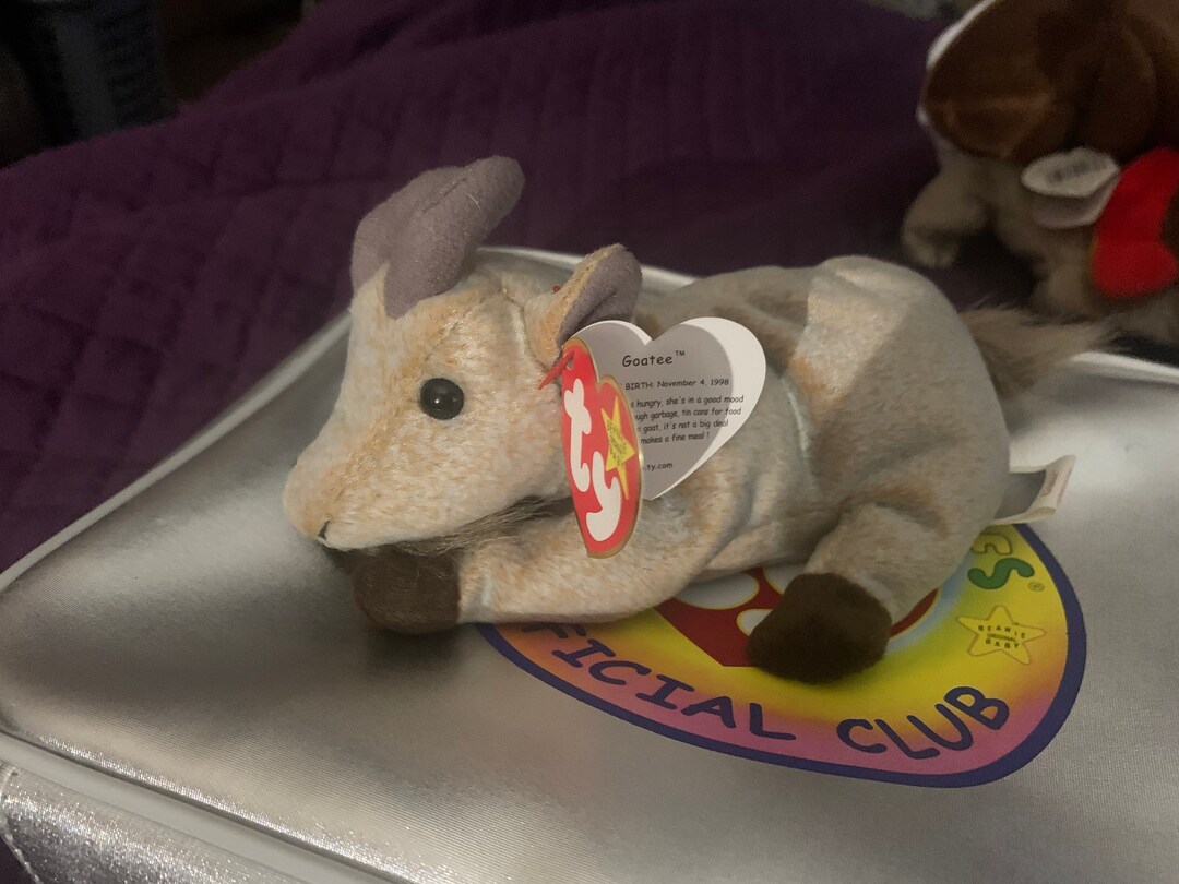 TY Beanie Baby- Goatee 98 - Etsy