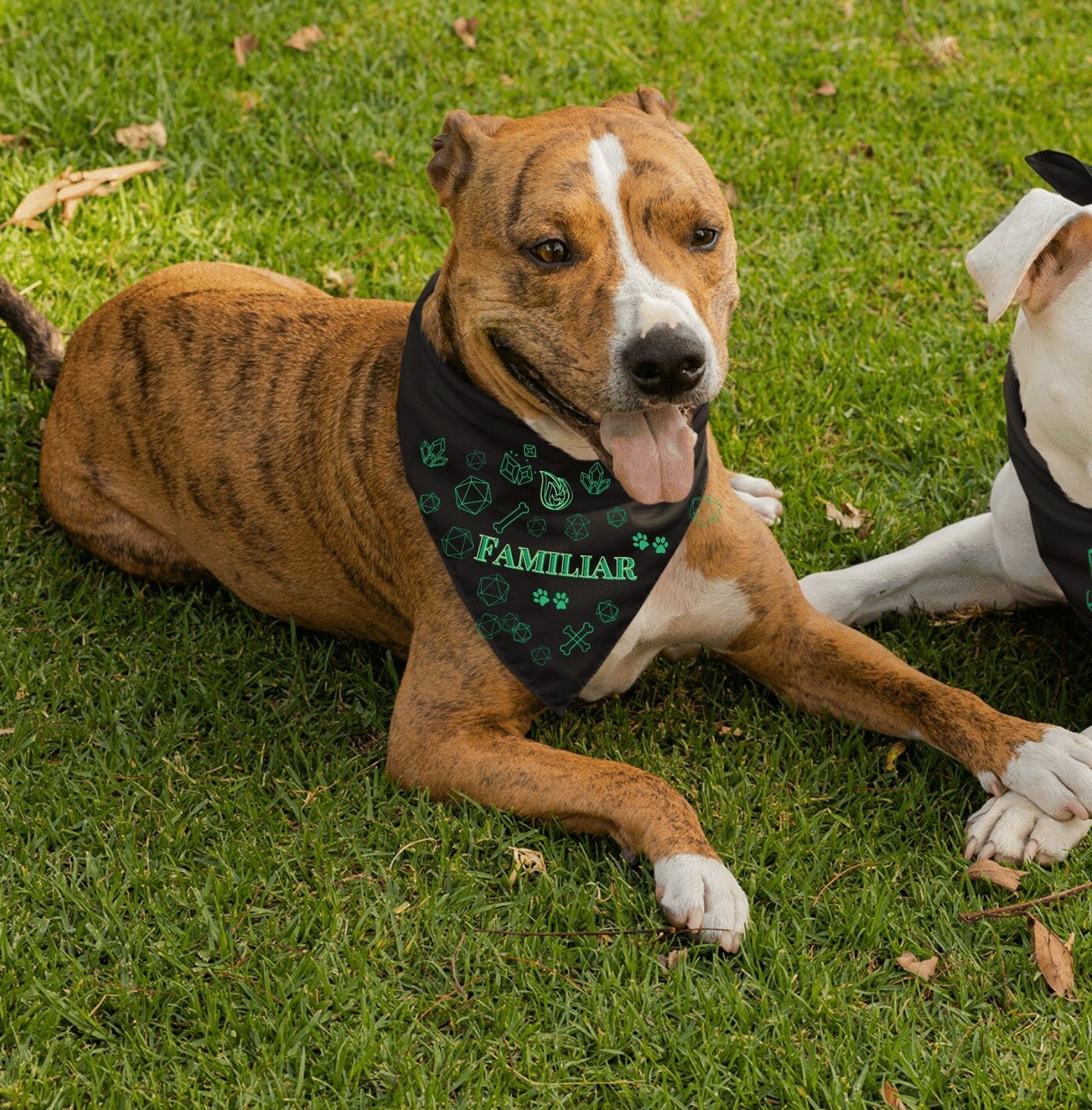 Dnd Dog Bandana Dnd Collar Familiar Dog Bandana D&D Pet - Etsy