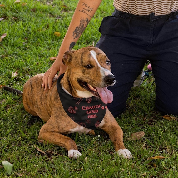 Dnd Dog Bandana Dnd Collar Chaotic Good Girl Dog Bandana - Etsy