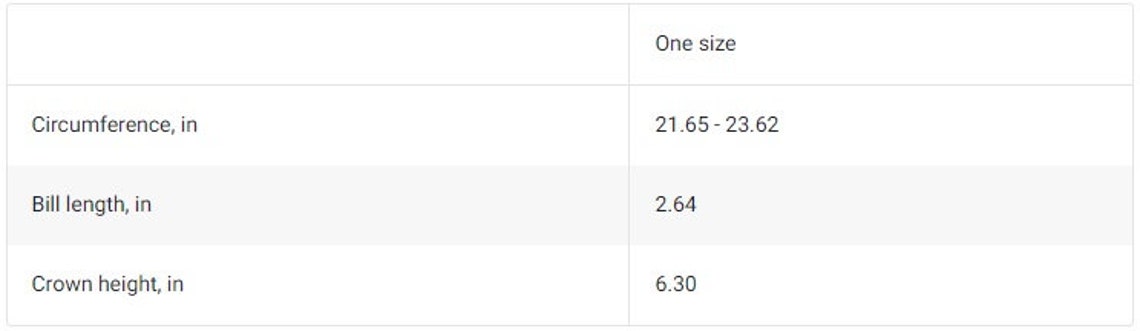 Dnd Intelligence Hat Dnd Baseball Cap dnd Modifier Hat - Etsy