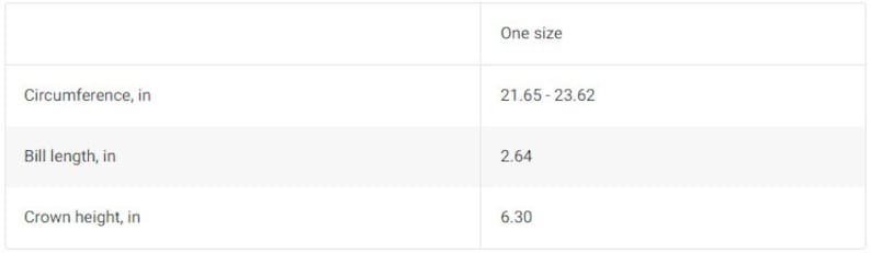 Dnd Intelligence Hat Dnd Baseball Cap dnd Modifier Hat - Etsy