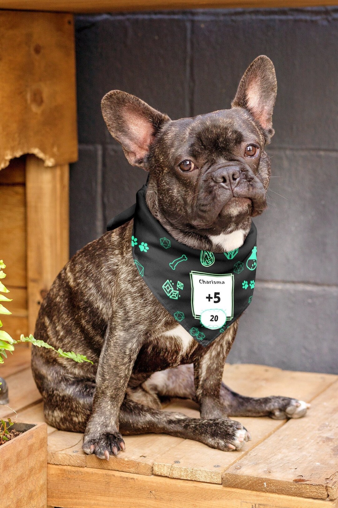 Dnd Dog Bandana, Dnd Collar, Charisma Stats Dog Bandana, Pet Bandana ...