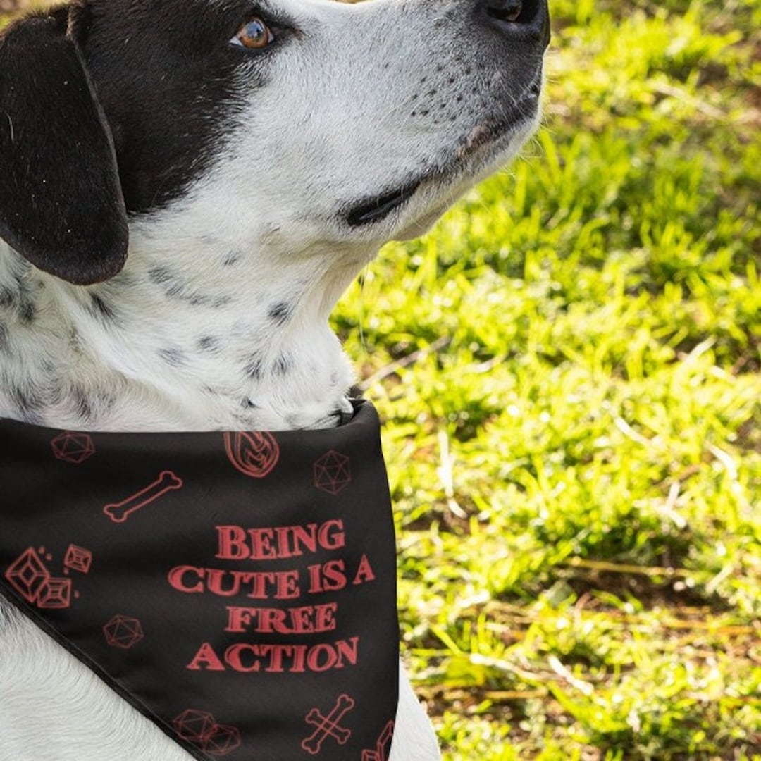 Dnd Dog Bandana, Dnd Collar, Being Cute is a Free Action, Pet Bandana ...